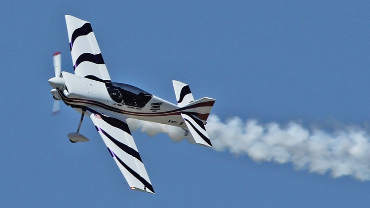 Giles G-202 - General Aviation (single engine) - Aircraft Pilots