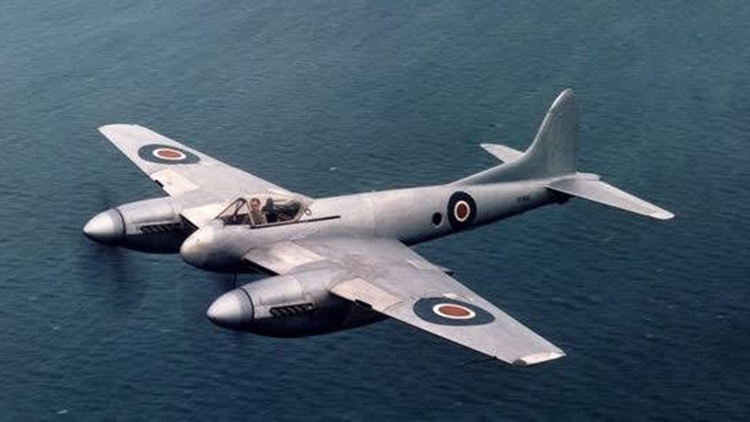 de Havilland Hornet and Sea Hornet - Warbirds - Aircraft Pilots